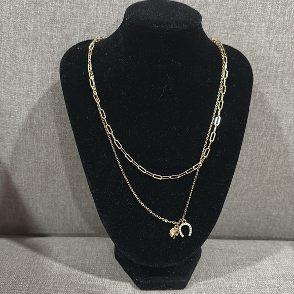 H&M | Jewelry | Nwt Hm Double Gold Lucky Necklace | Poshmark